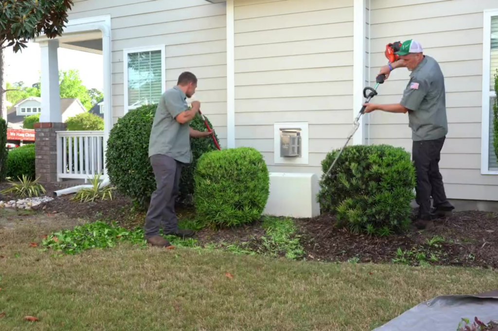Shrub & Tree Pruning in Wilmington, Leland, Hampstead NC